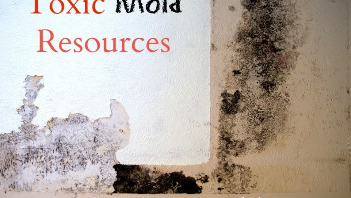 Toxic Mold Resources | Hybrid Rasta Mama