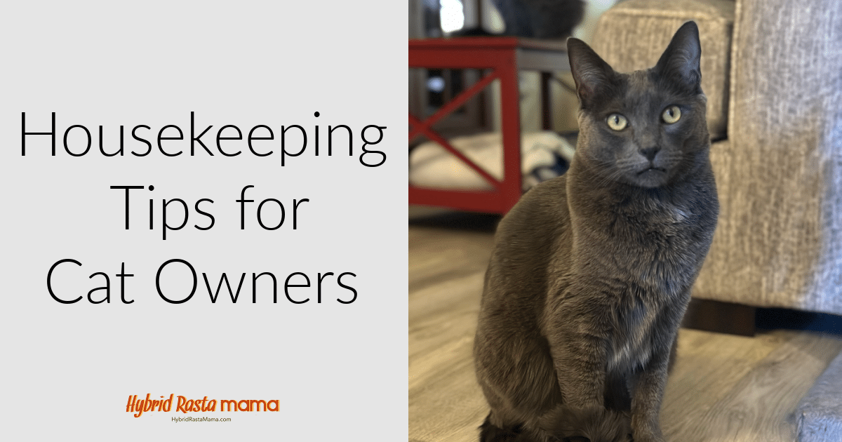 Housekeeping Tips for Cat Owners | Hybrid Rasta Mama