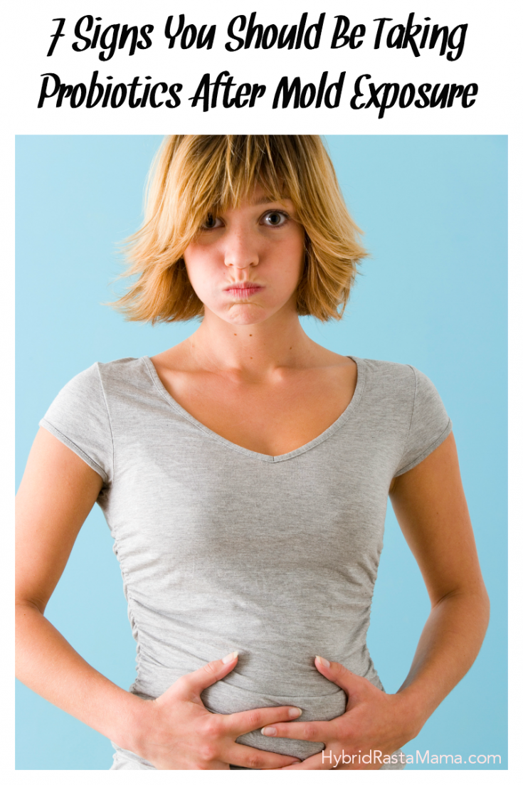 7 Signs You Should Be Taking Probiotics After Mold Exposure | Hybrid ...
