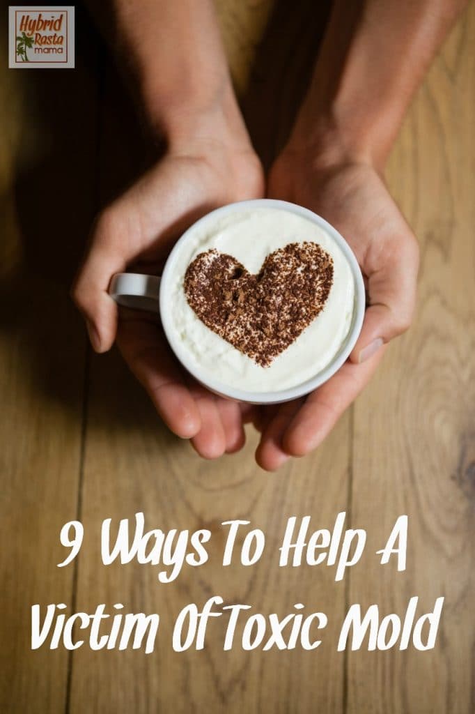 9 Ways To Help A Victim Of Mold Exposure | Hybrid Rasta Mama