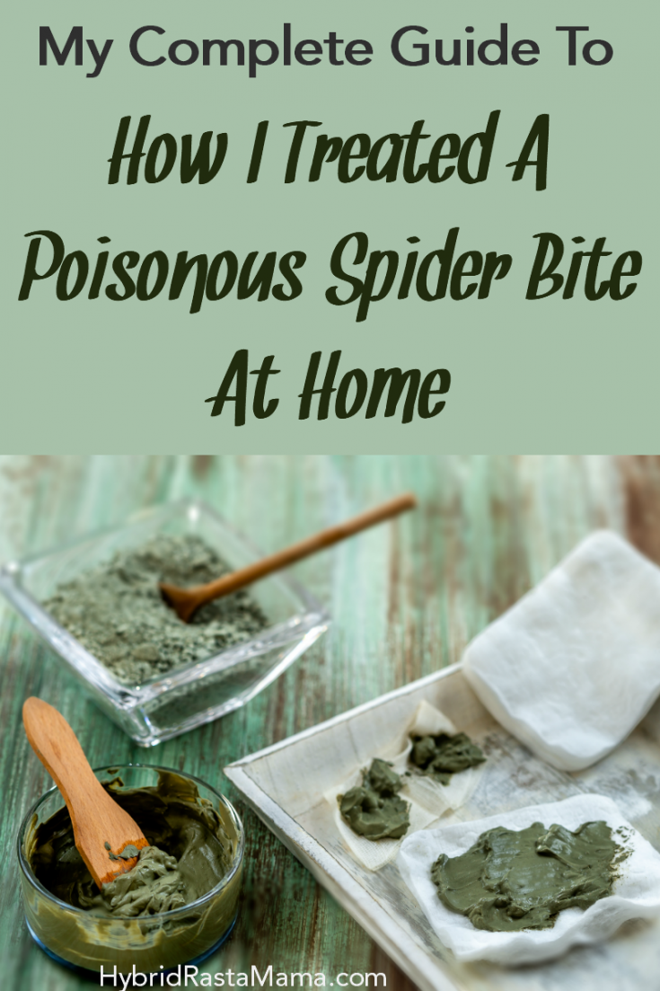 How To Treat A Spider Bite At Home | Hybrid Rasta Mama