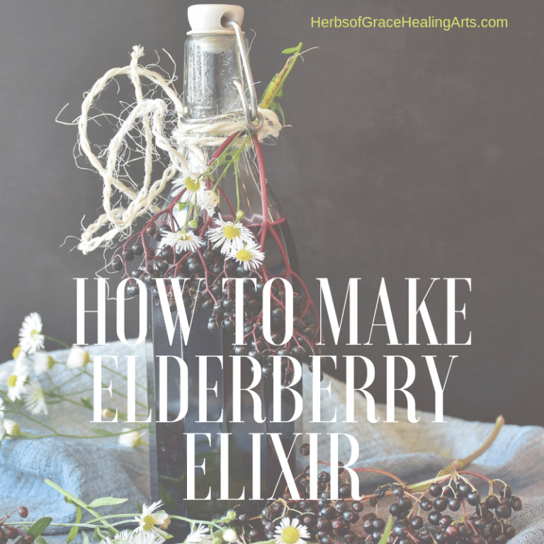 Tutorial: Elderberry Elixir Recipe | Hybrid Rasta Mama