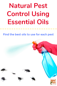 All Natural Pest Control Using Essential Oils | Hybrid Rasta Mama