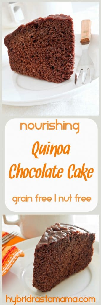 Quinoa Chocolate Cake Recipe | Hybrid Rasta Mama